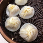 INTO THE WILD | TEE MANGO