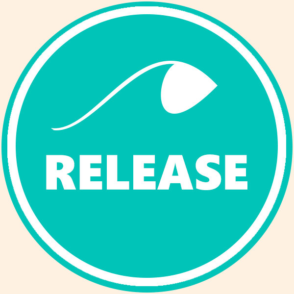 Ireland Song | Devin Reardon | Release Wellness