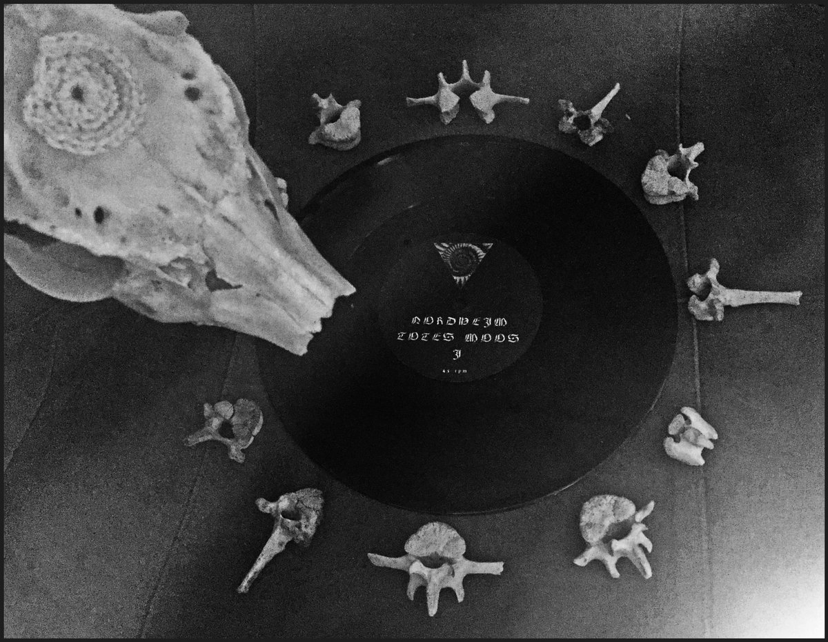 Totes Moos | Nordheim / Strof | Dolomia Nera