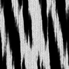 Natural Sci-Fi | Steve Spacek