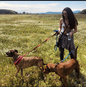 Music | Victoria Faye