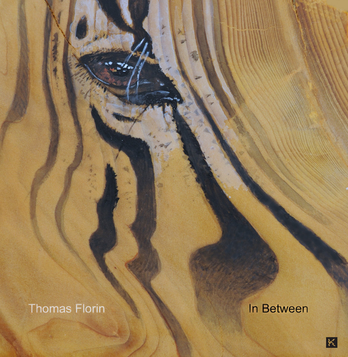 In Between | Thomas Florin solo piano | Thomas Florin