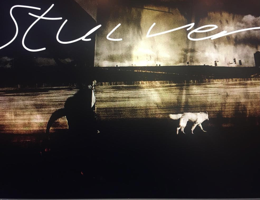Music | STUIVER
