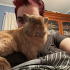 Thriller (Single) | Scandroid