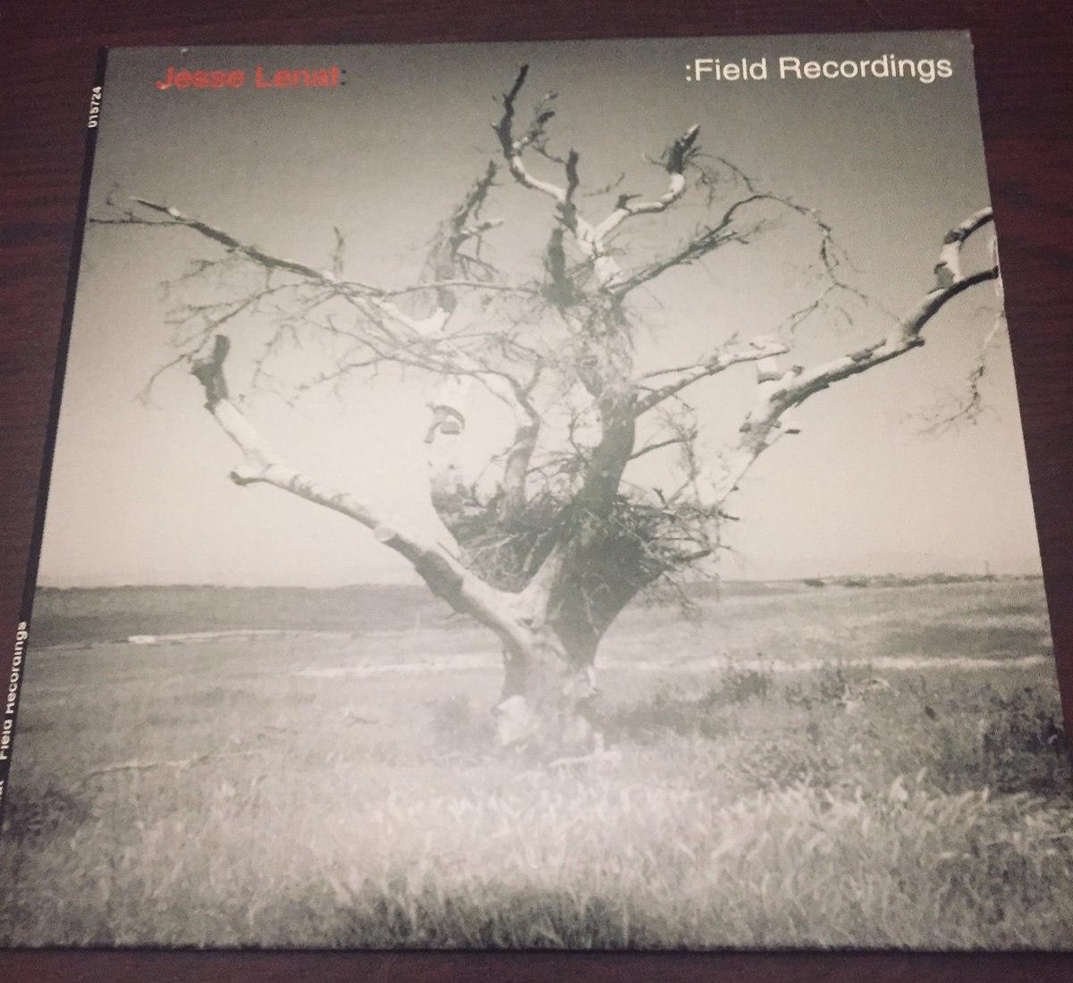 Field Recordings | Jesse Lenat