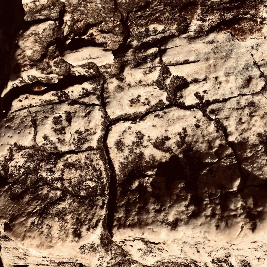 Sampler | Simon Marchant