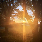 Blind Owl Wilson | Blind Owl Wilson | Mississippi Records