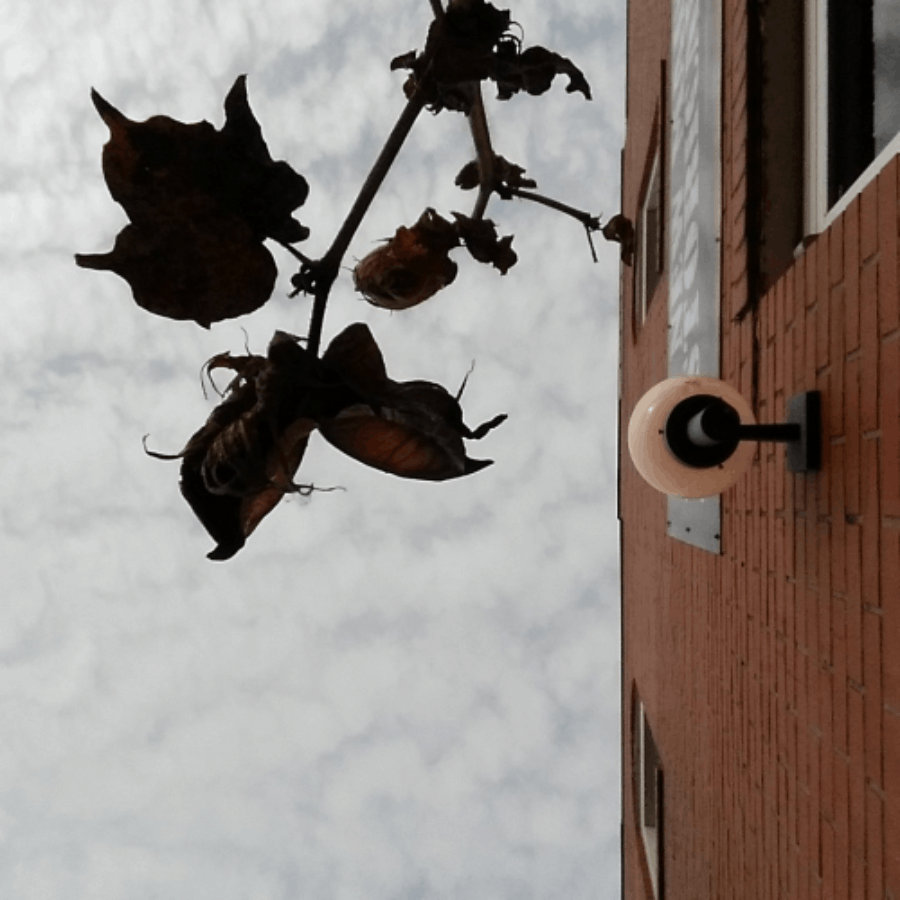 Medication & the Annoying Noice | Anthony Richard Piazza (feat. Robyn ...