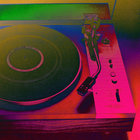 A Tiger's Tale | Leroi Conroy