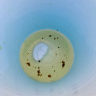 Recursion Constructors | Richard Devine