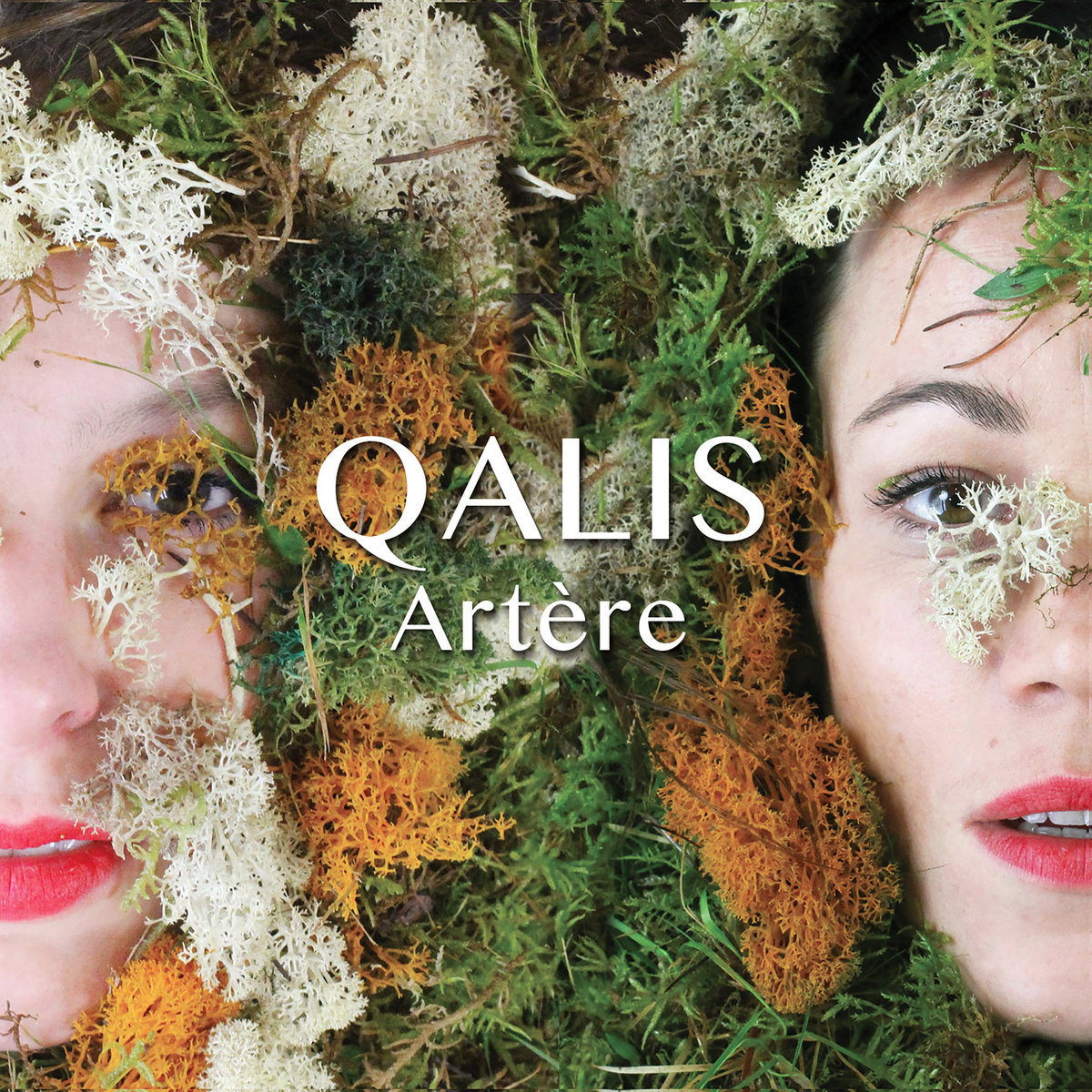 Artère | Qalis