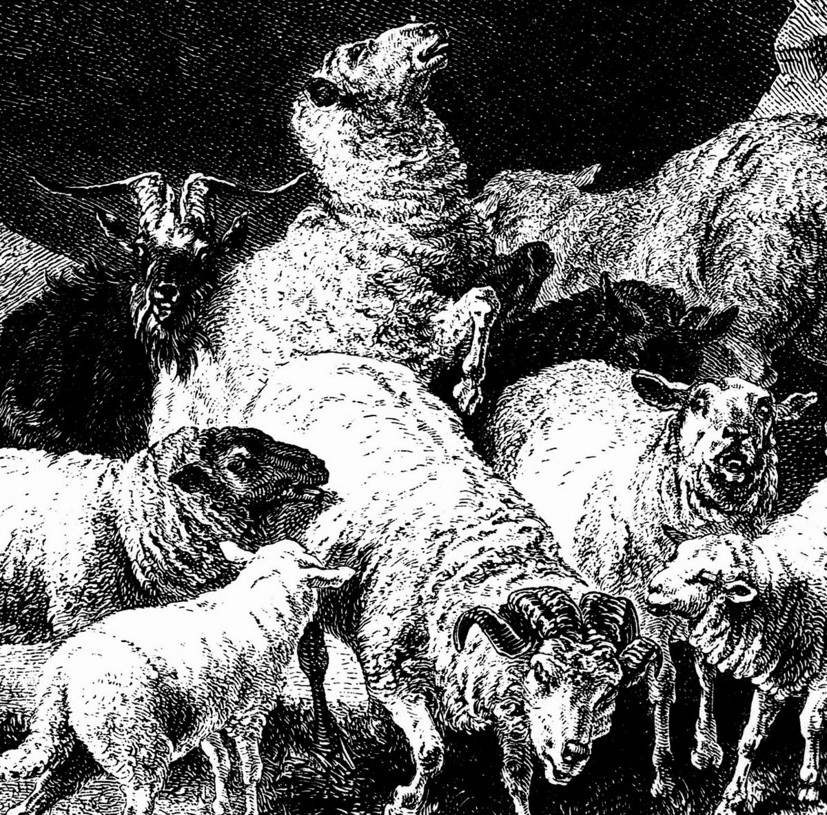 Goat Greater God | Goat Sabbath