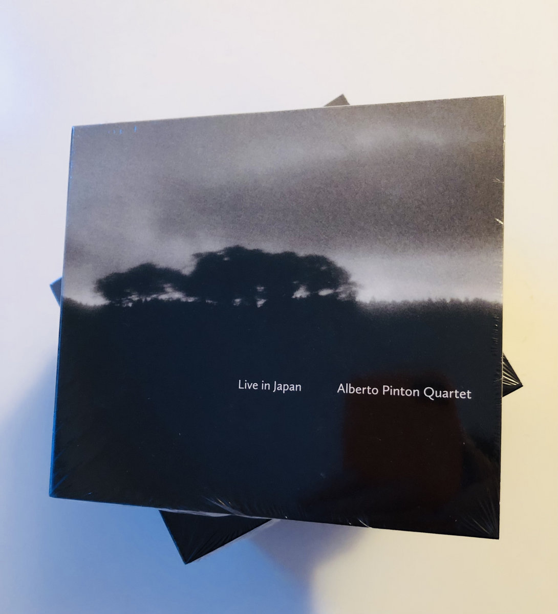 Live in Japan | Alberto Pinton Quartet | Alberto Pinton