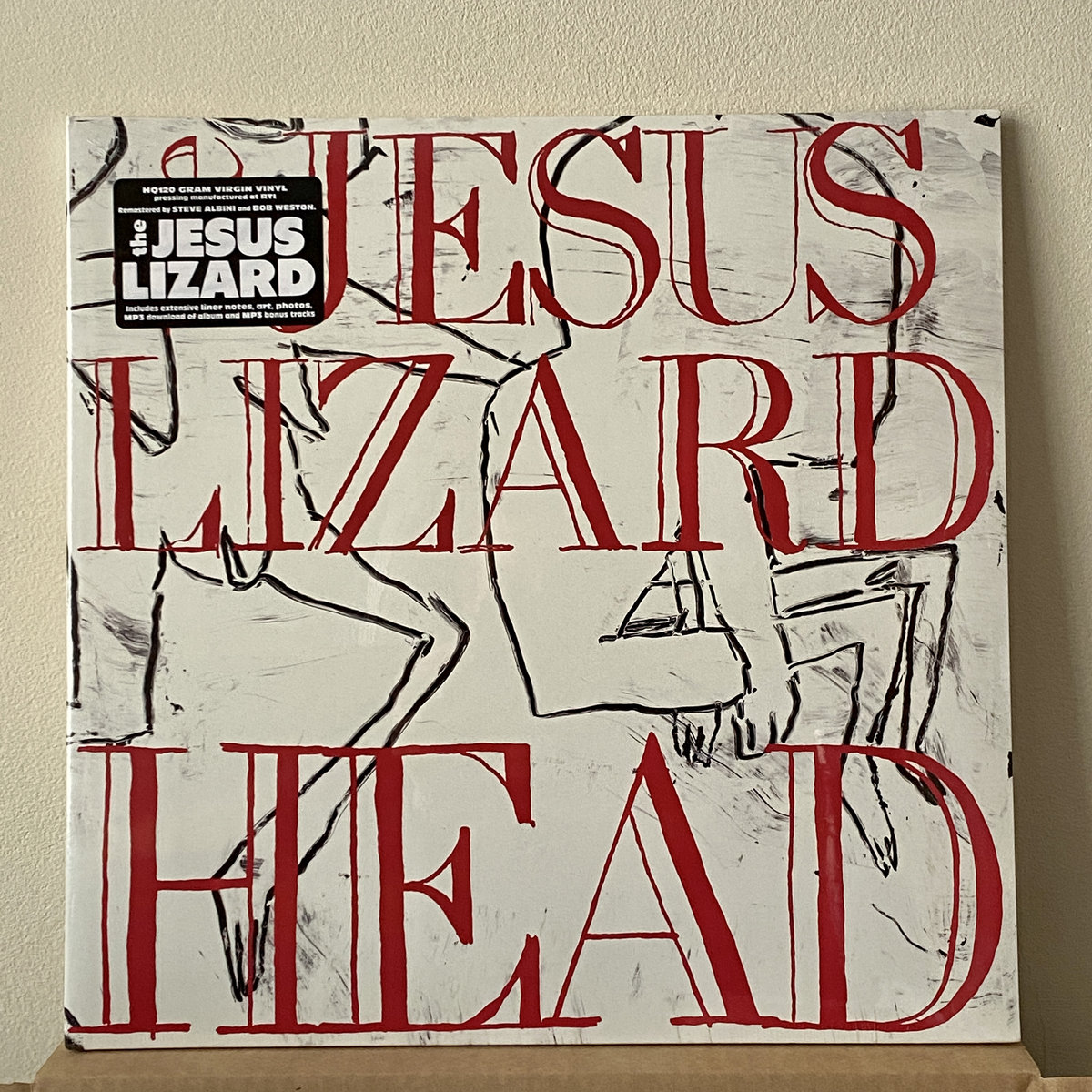 Jesus Lizard Head