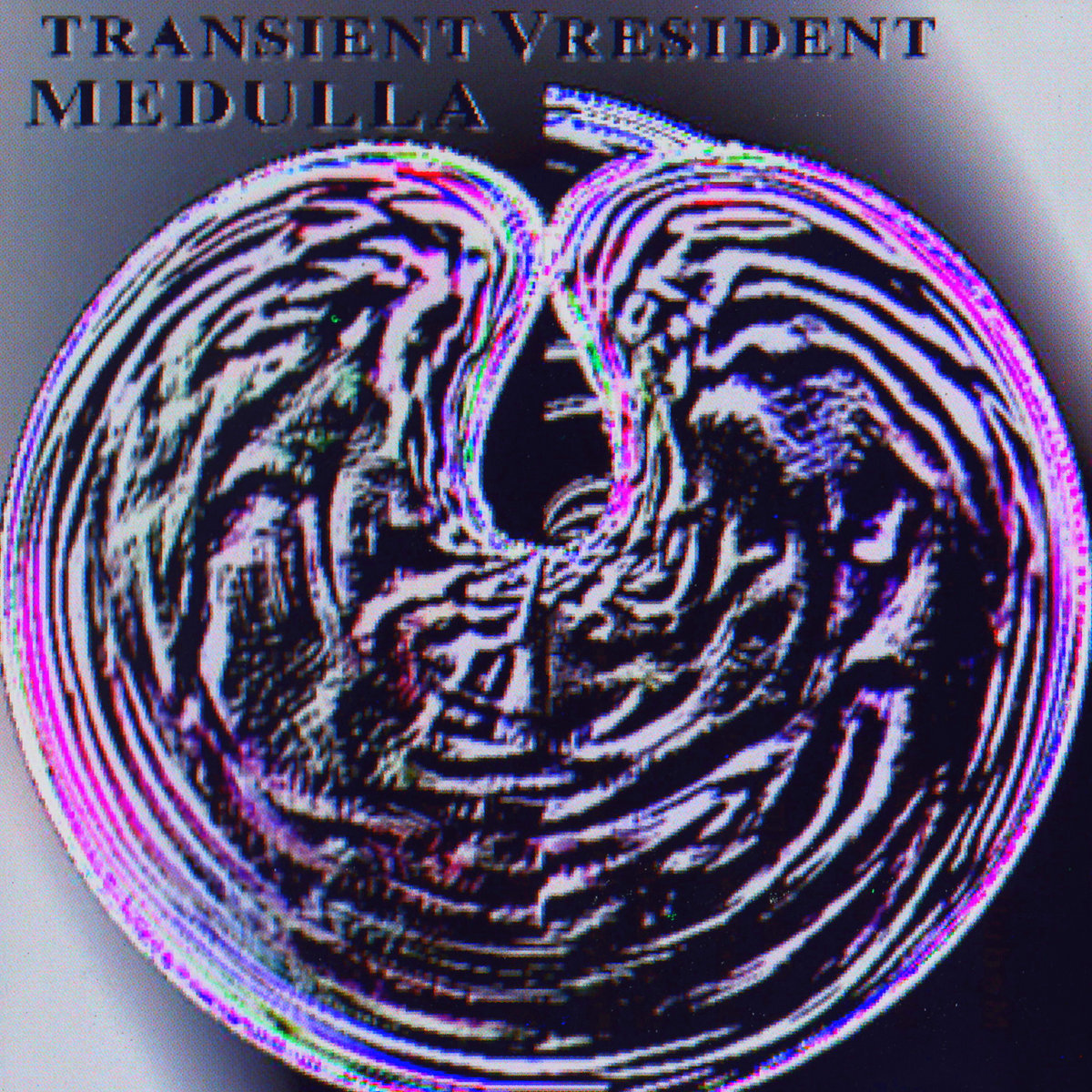 Medulla - 13CD (2001) | Transient v Resident | Discus Music