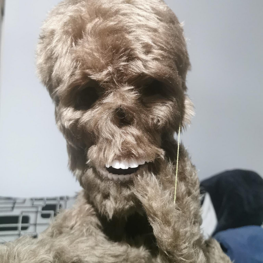 soloplex's collection | Bandcamp