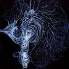 LL012 - Xenolinguistics | Masaki Uchida | Loose Lips