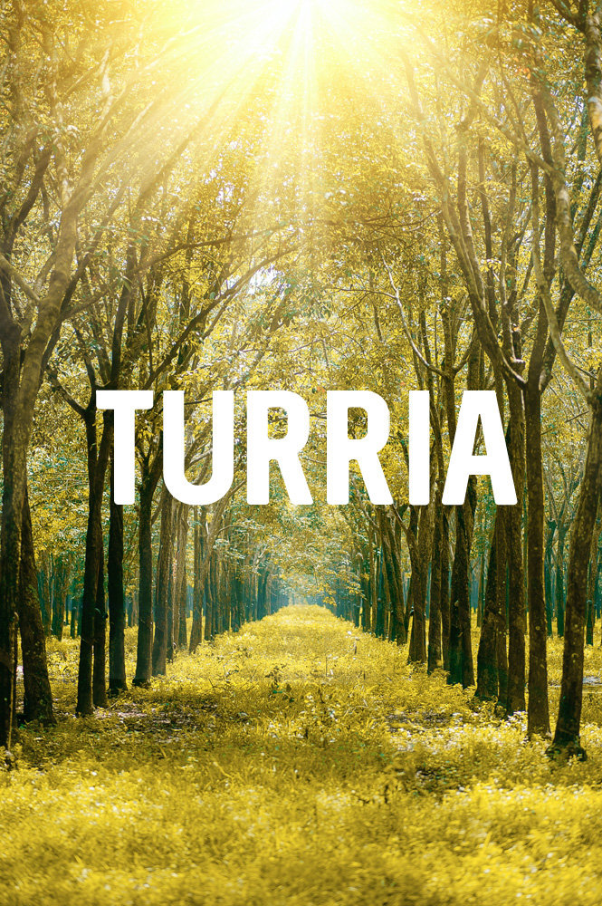 Music | Turria