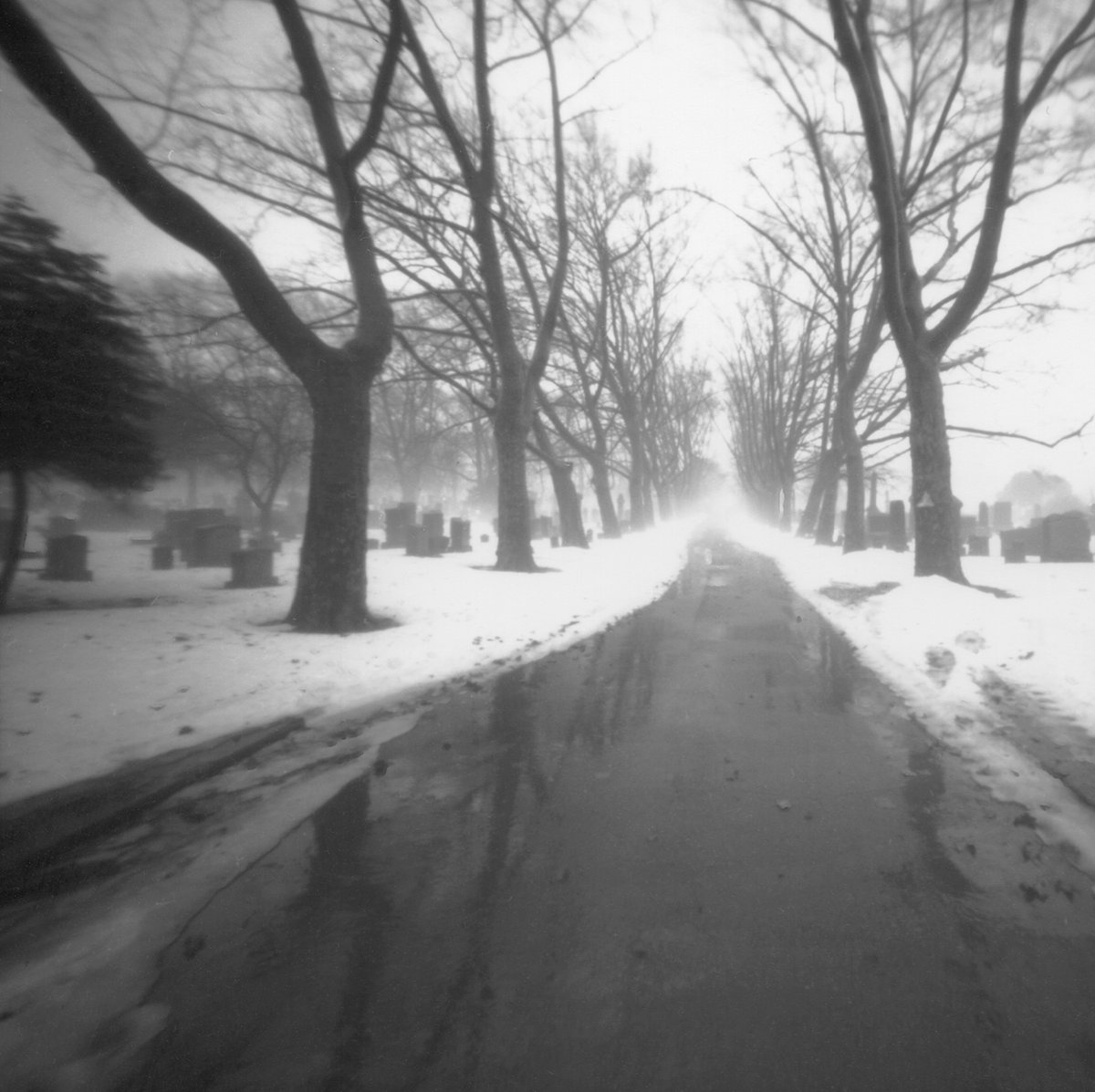 Marc Sloan - Divine Bones Volume 1 | Marc Sloan | Marc G. Sloan