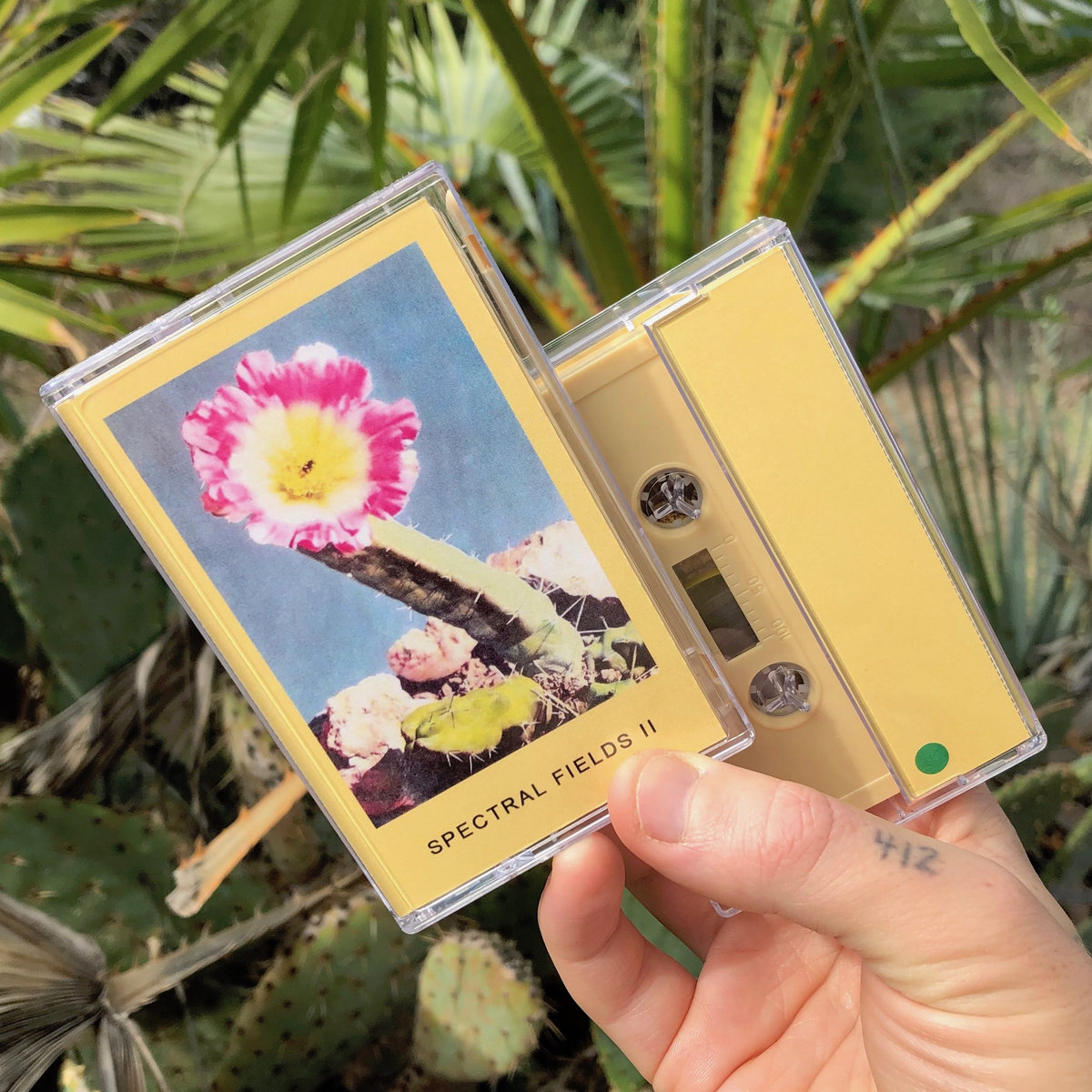 [JGT59] "Spectral Fields II" | Spectral Fields | JUNGLE GYM RECORDS