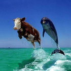 The Cosmic Cornucopia | Slugdge