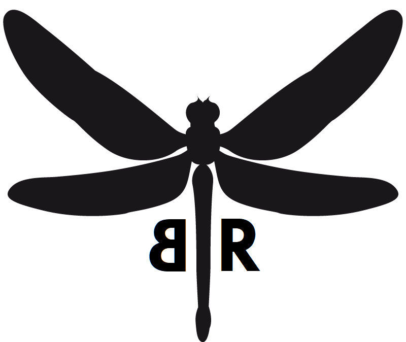 Dragonfly Season Vol. 1 | Dragonfly Season