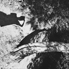 Nihiloxica | Nihiloxica | Nyege Nyege Tapes