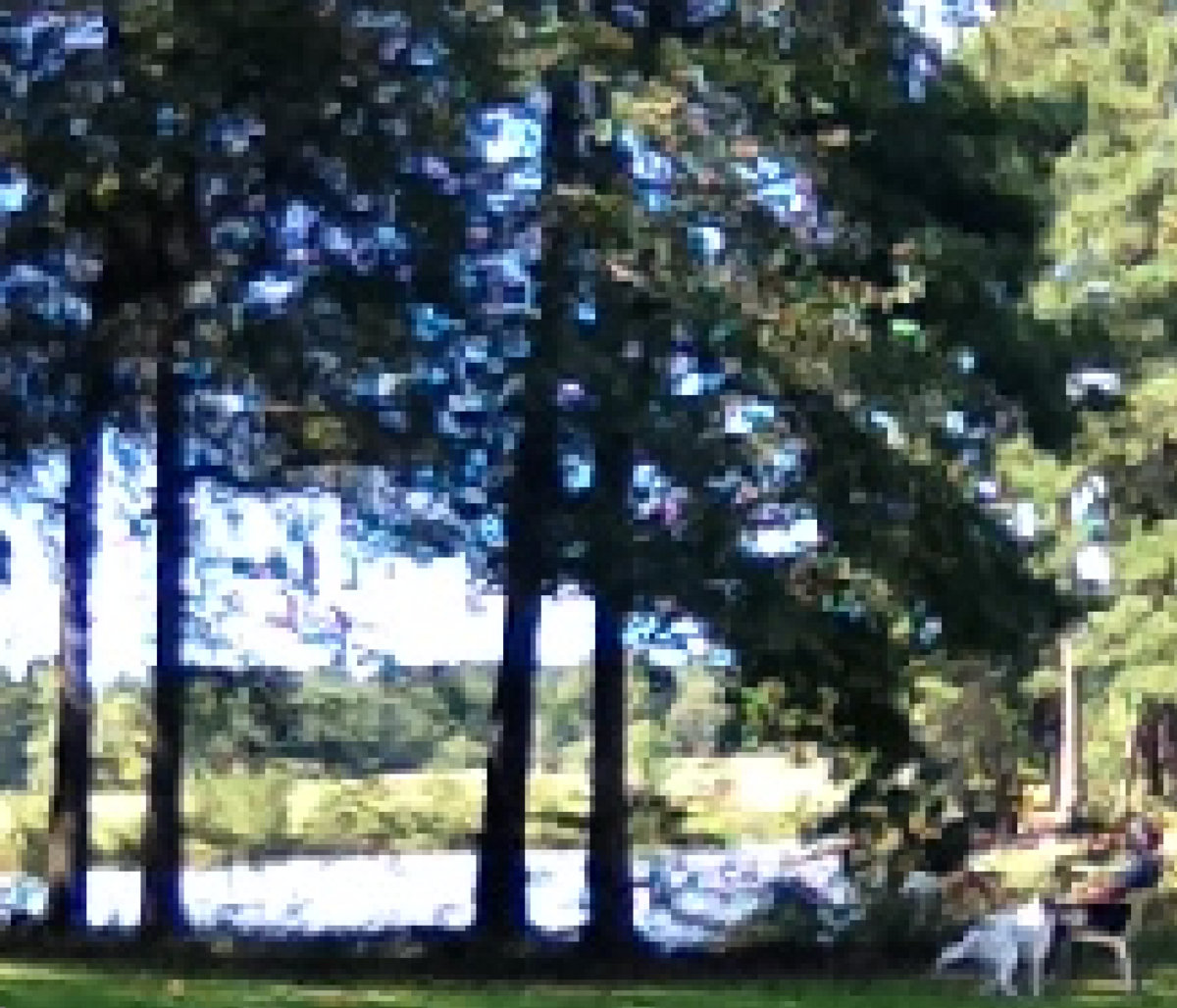 Friction Town (8trk) | Auditory Clang | Sham Dissemble