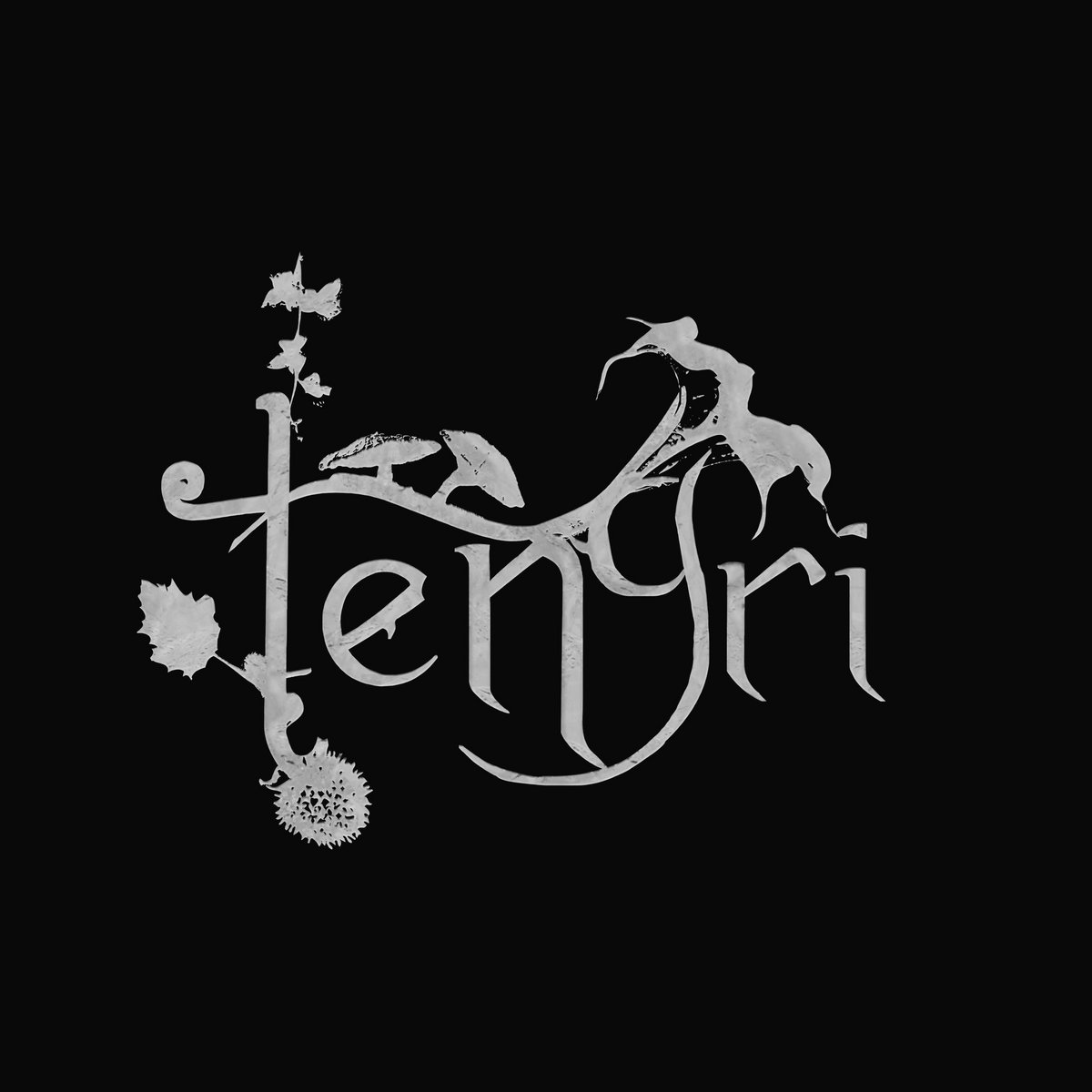 Shipibo EP | Tengri