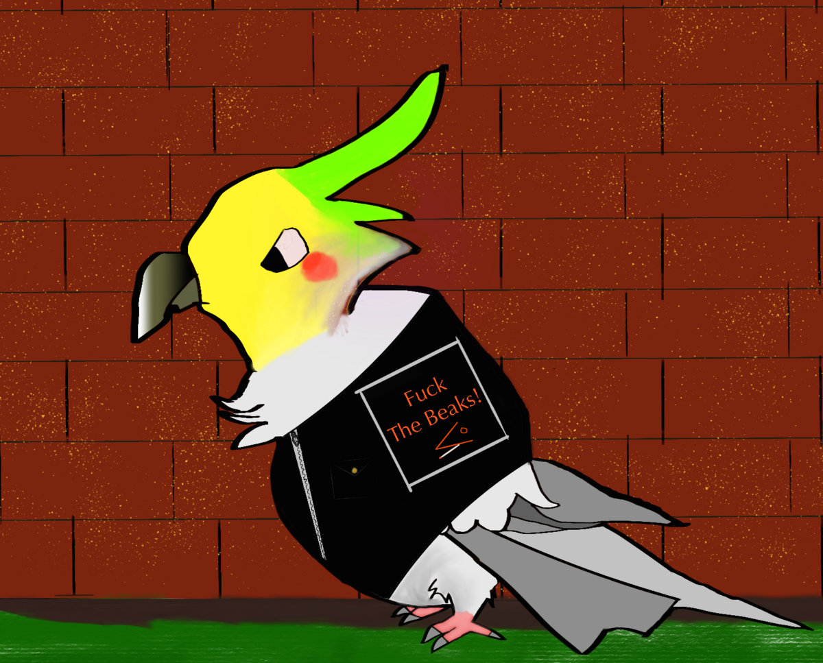 Ultimate Beakdowns | The Beaks