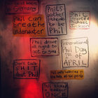 Dim Probs | Gruff Rhys