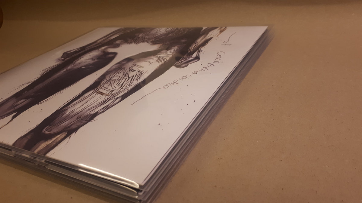 The Long Haul of Cercopithecoidea | Monkey Okay