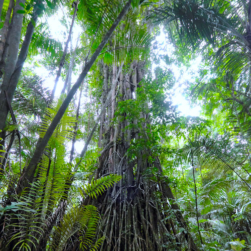 Just Inteditonation Drone music in 7.83 #8 | EUHEDRAL | EUHEDRAL just ...