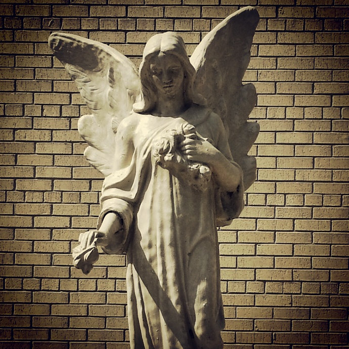 doctor_zeus' collection | Bandcamp