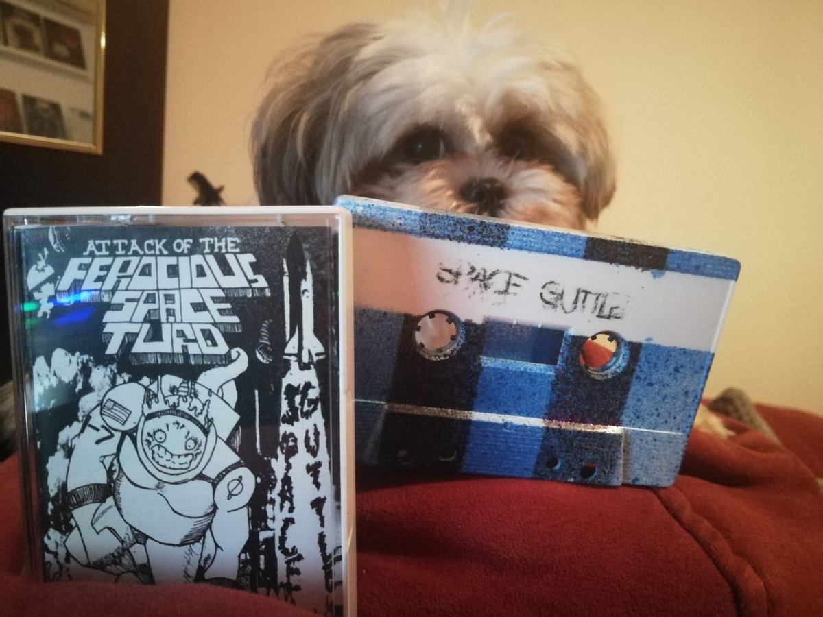 FST / Space guttle split | Ferocious Space Turd, Space Guttle ...