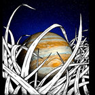 Raspberry Moon | Hotline TNT