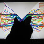 Symphony No. 1 (Tonal Plexus) | Glenn Branca