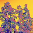 Chronopoly | Town Portal