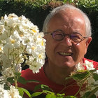 gracerooms | gracerooms