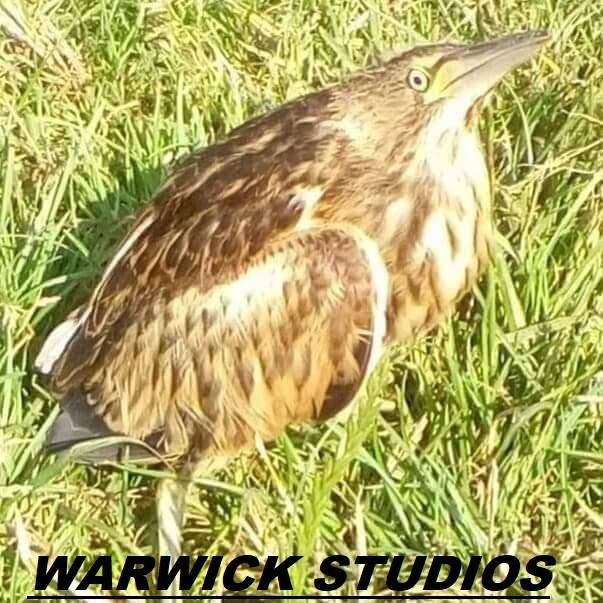 Oxford Enterprises | The Corporats | Warwick Studios