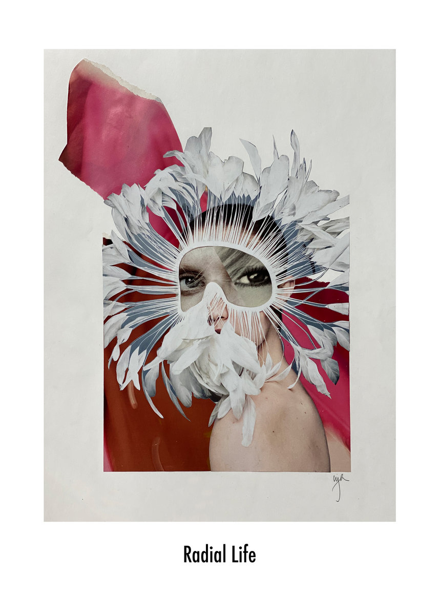 Rabbit Rabbit Radio, Volume 4 - The Animal I Am | Rabbit Rabbit Radio