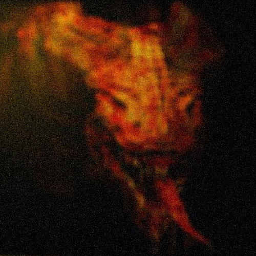 Danorum. | Danorum.