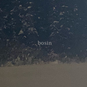 Music | bosin