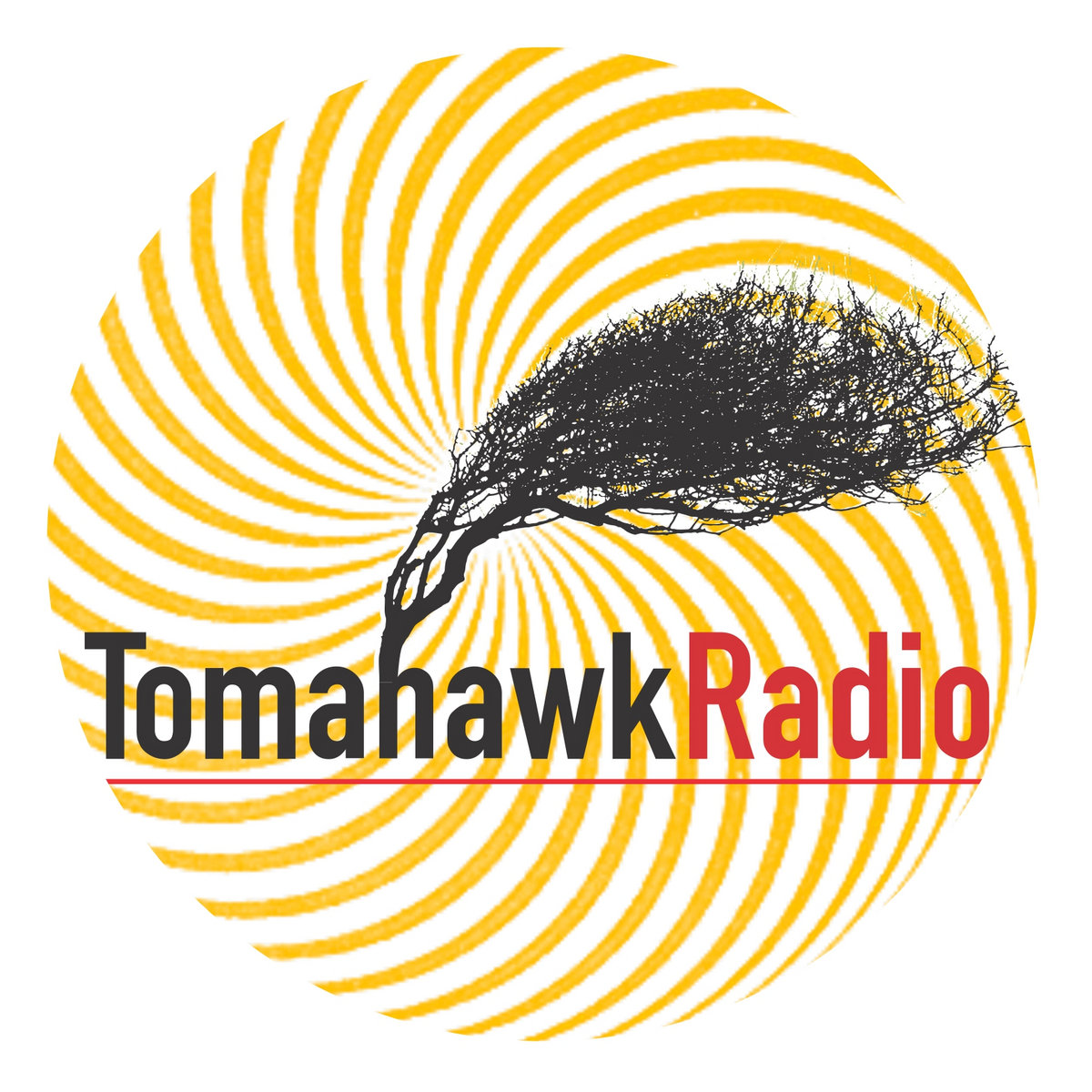 Dreaming With A View | Tomahawk Radio