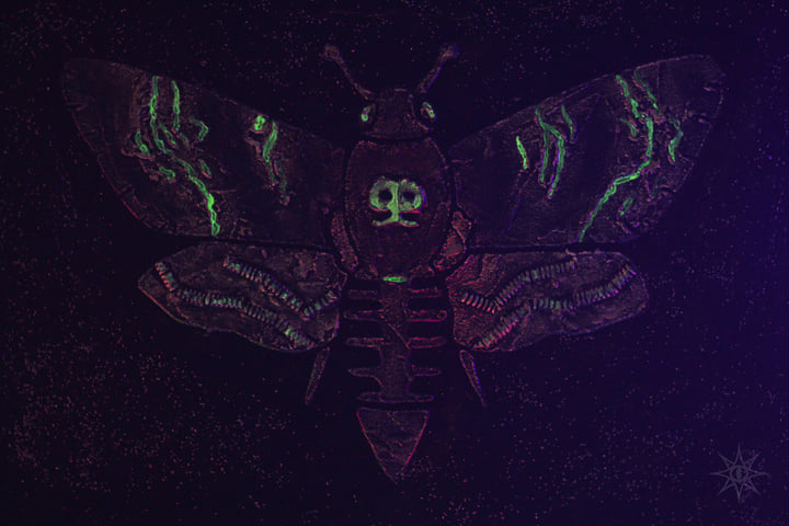Cicada 3301 Wallpaper 4k