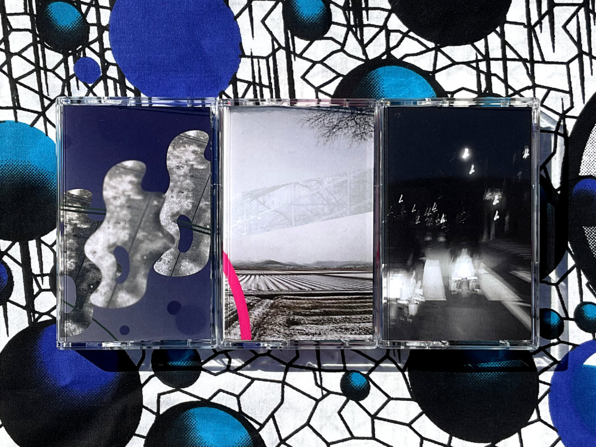 Shell Collector | Cofaxx | Constellation Tatsu