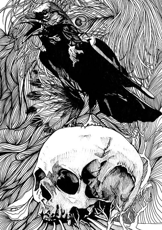 Savage Animal Sessions Part 1 | Sick Falcon
