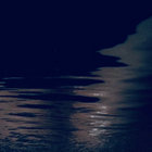 LIVE with LOOPER No.1 | Markus K