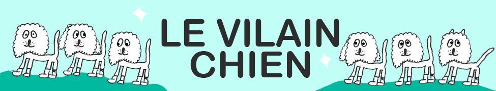 ATELIER ROCK ET ANIMAUX | Atelier rock et animaux | LE VILAIN CHIEN