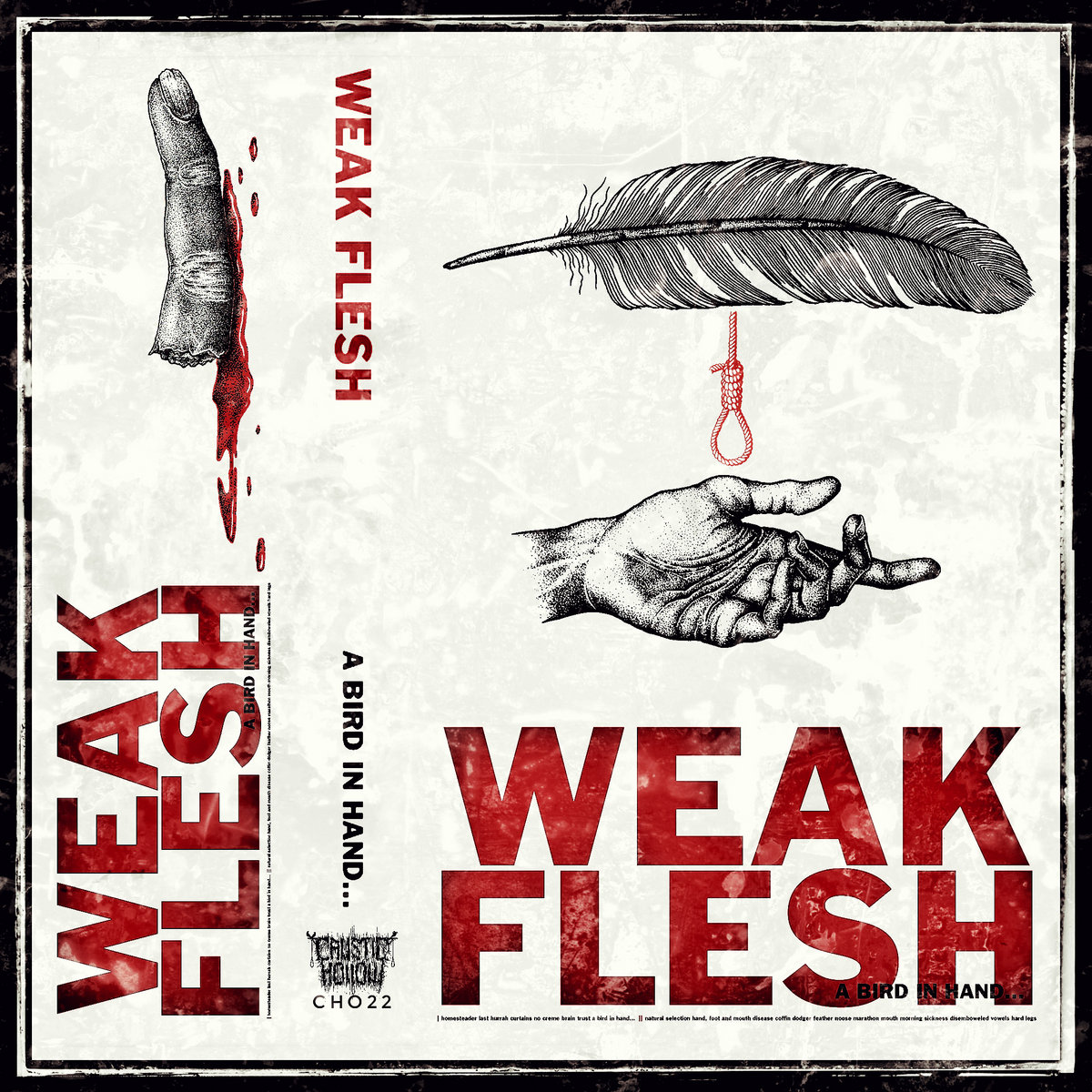 A Bird In Hand | Weak Flesh | Caustic Hollow
